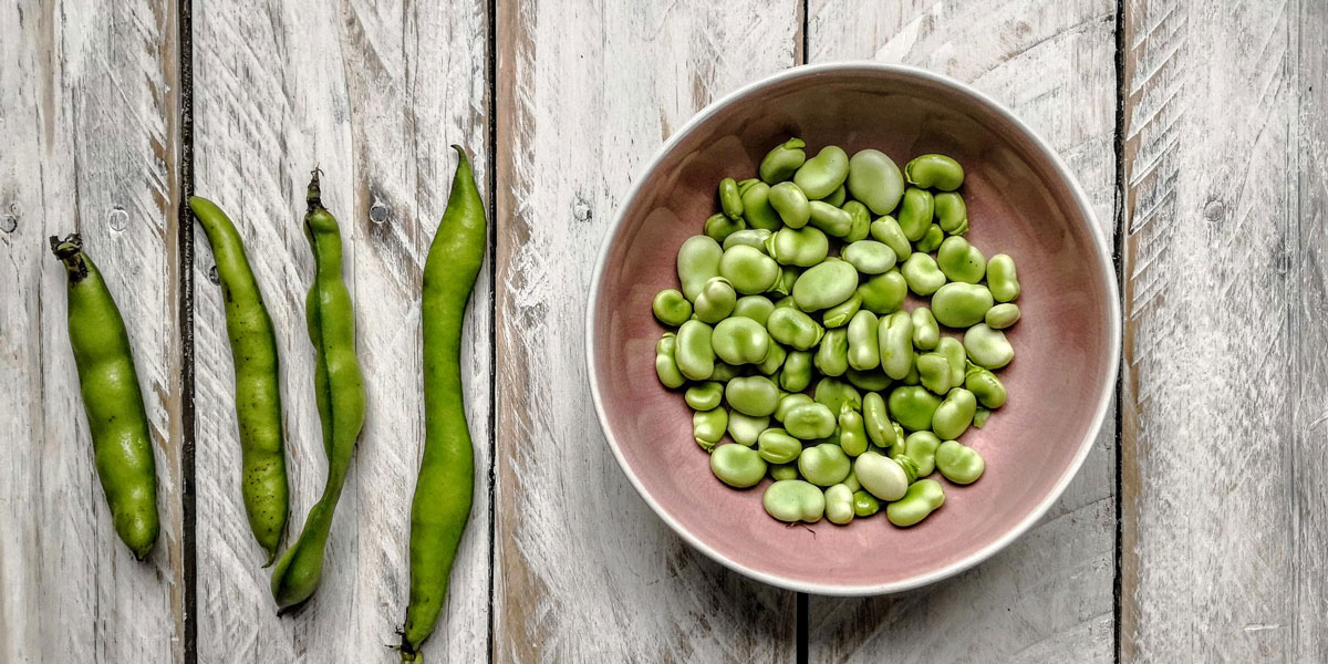 Przepis na fava fasole z jamónem - habas con jamón