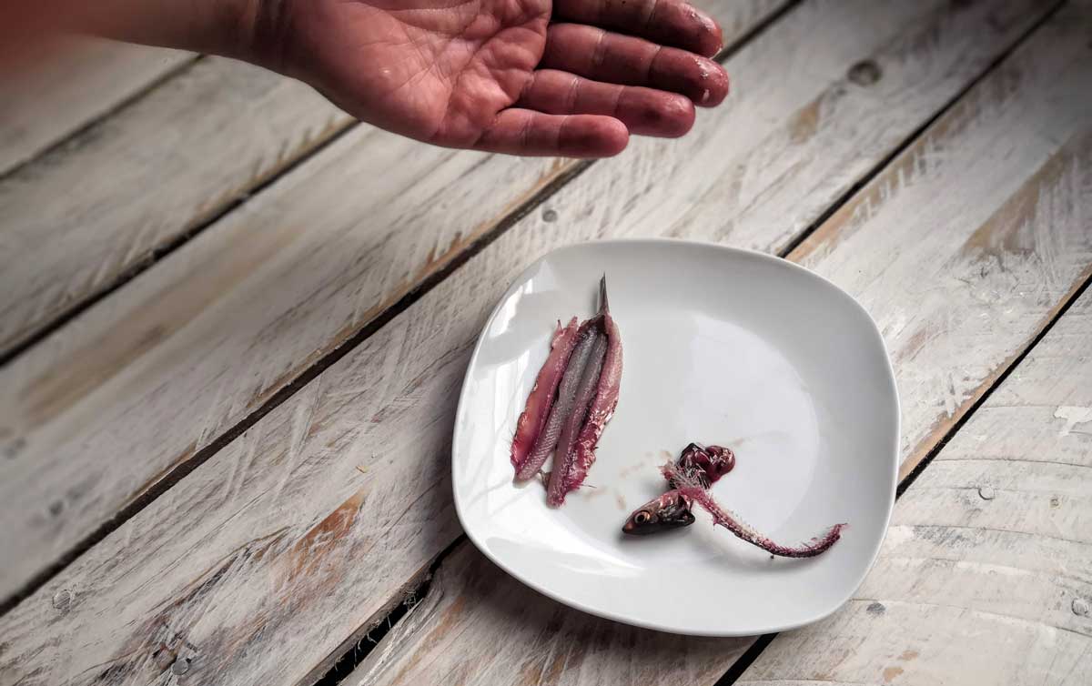 Instrukcja ze zdjęciami: Jak czyścić świeże sardelki?